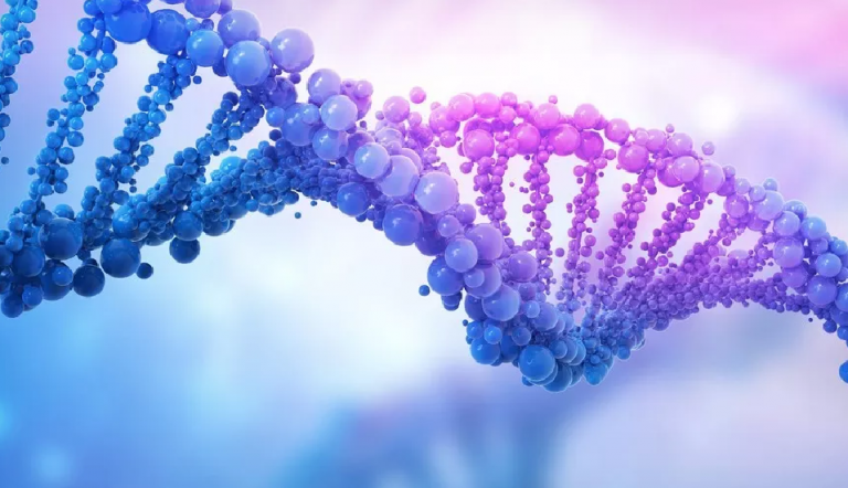 【文献精读】Nat Rev Genet综述｜基因组三维空间结构：染色质互作数据的分析统计和计算方法 | | 百迈客生物