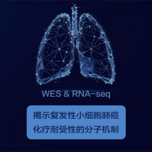 WES & RNA-seq揭示复发性小细胞肺癌化疗耐受性的分子机制 | | 百迈客生物