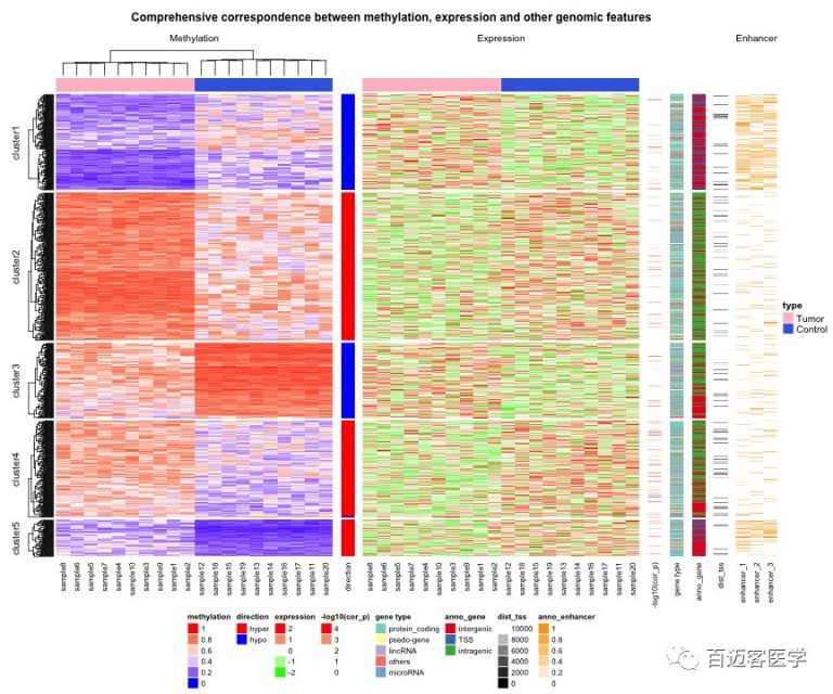 ComplexHeatmap()安装及绘制热图—如何让你的图变得高大上 | 百迈客生物