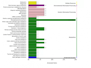 转录调控高级分析结果详解（WGCNA\GSEA\PPI) | | 百迈客生物