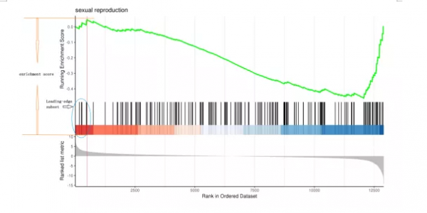 转录调控高级分析结果详解（WGCNA\GSEA\PPI) | | 百迈客生物