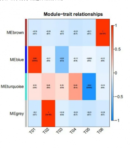 转录调控高级分析结果详解（WGCNA\GSEA\PPI) | | 百迈客生物