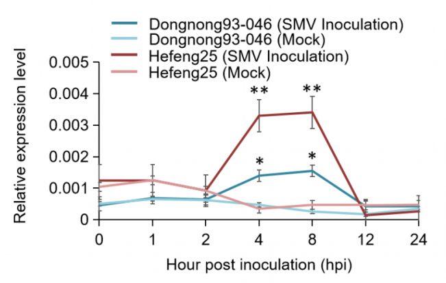 【成功案例】基于BSA+转录组/遗传图谱/GWAS联合分析的QTL定位 | | 百迈客生物