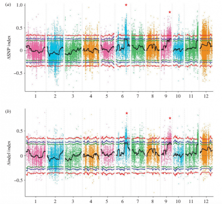 【成功案例】基于BSA+转录组/遗传图谱/GWAS联合分析的QTL定位 | | 百迈客生物