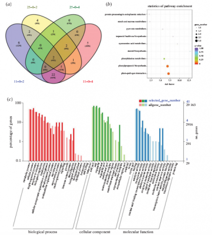 【成功案例】基于BSA+转录组/遗传图谱/GWAS联合分析的QTL定位 | | 百迈客生物
