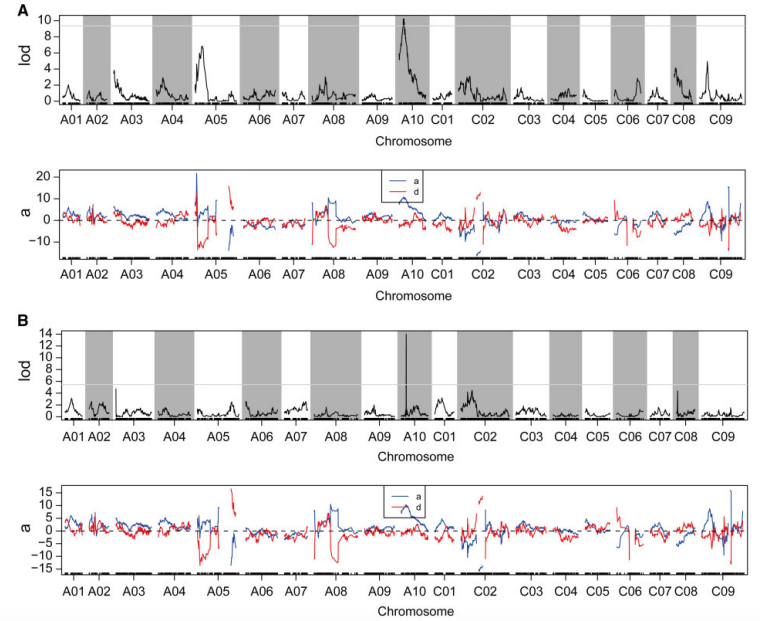 【成功案例】基于BSA+转录组/遗传图谱/GWAS联合分析的QTL定位 | | 百迈客生物