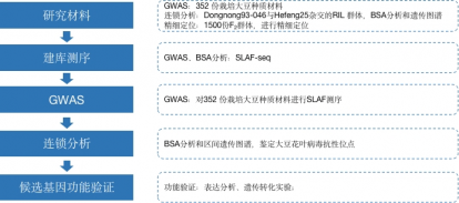 【成功案例】基于BSA+转录组/遗传图谱/GWAS联合分析的QTL定位 | | 百迈客生物