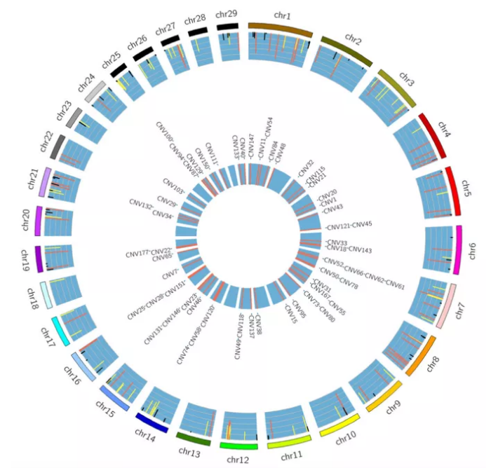 复杂数量性状的GWAS：SNP-GWAS to SV-GWAS | | 百迈客生物