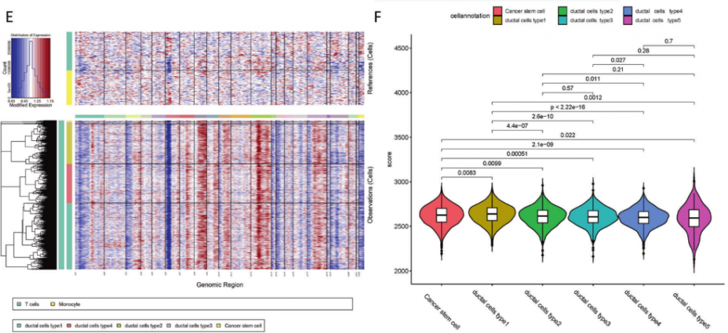 单细胞测序高级分析数据挖掘思路 | 百迈客生物