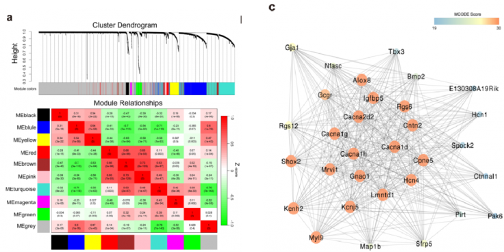 单细胞测序高级分析数据挖掘思路 | 百迈客生物