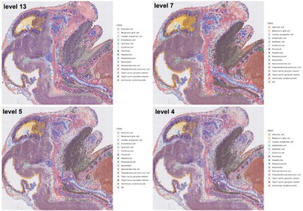 空间组学与单细胞联合分析方法之RCTD | | 百迈客生物