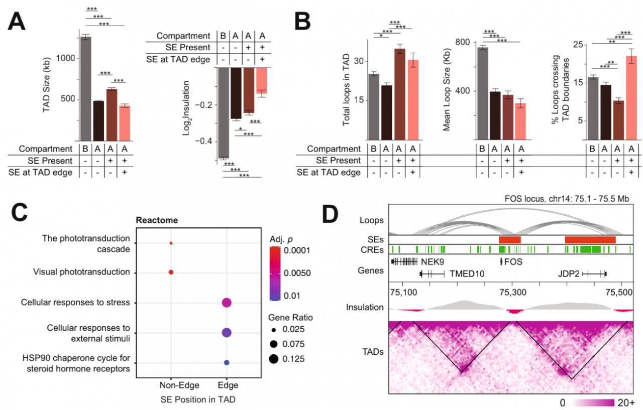 视网膜基因研究：Hi-C技术绘制高分辨率人类视网膜3D基因组拓扑结构图谱 | | 百迈客生物
