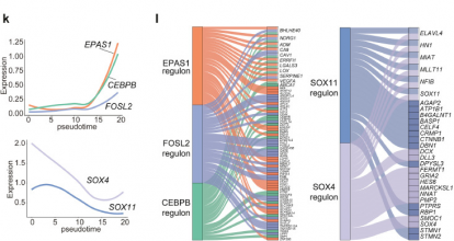 单细胞+空间揭秘GPNMB高表达巨噬细胞如何影响脑胶质瘤T细胞活化 | | 百迈客生物