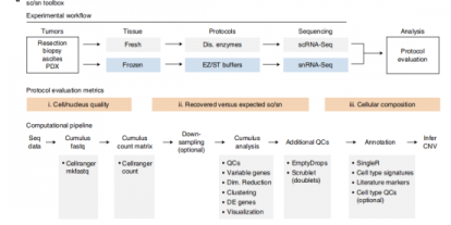 snRNA-Seq ：单细胞转录组学中一颗耀眼的星 | | 百迈客生物