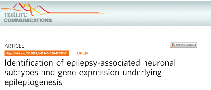 NC|单核转录组鉴定癫痫相关的神经元亚型和诱发癫痫的基因表达 | | 百迈客生物