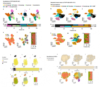 snRNA-Seq ：单细胞转录组学中一颗耀眼的星 | | 百迈客生物