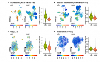 snRNA-Seq ：单细胞转录组学中一颗耀眼的星 | | 百迈客生物