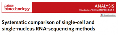 snRNA-Seq ：单细胞转录组学中一颗耀眼的星 | | 百迈客生物