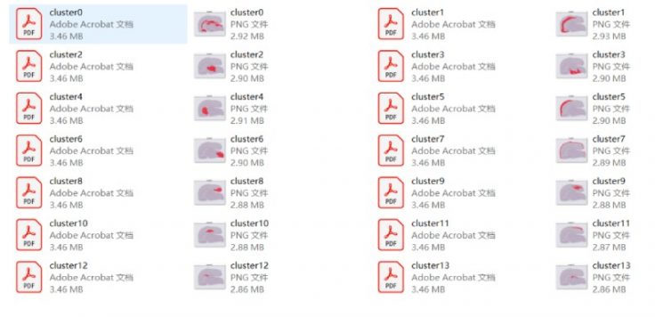 Bmk Space mapping.R软件图文教程 | | 百迈客生物