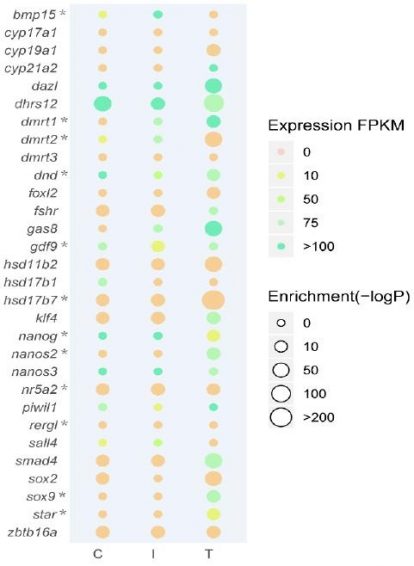 ATAC-seq+RNA-seq 联合分析揭示斜带石斑鱼性逆转过程中染色质的可及性 | | 百迈客生物