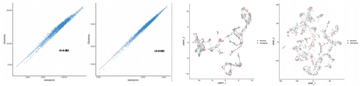 百创S1000-Nanopore 空间全长转录组 | 百迈客生物
