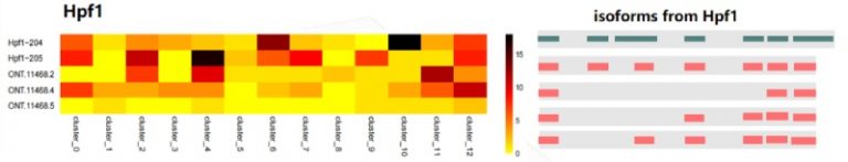 百创S1000-Nanopore 空间全长转录组 | 百迈客生物