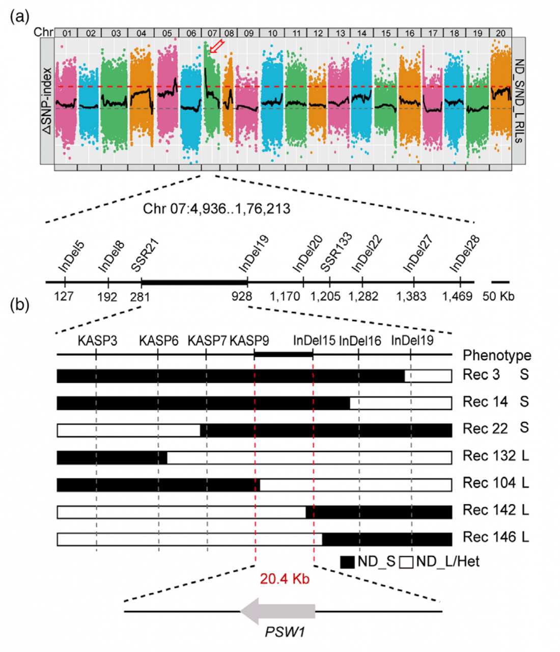 文章集锦 | 植物群体在QTL定位中的应用 | | 百迈客生物