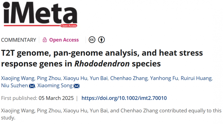 iMeta | T2T水平的百合杜鹃基因组被报道 | | 百迈客生物