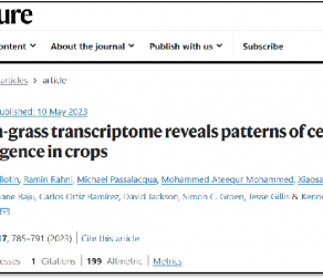 转录调控高级分析结果详解（WGCNA\GSEA\PPI) | | 百迈客生物
