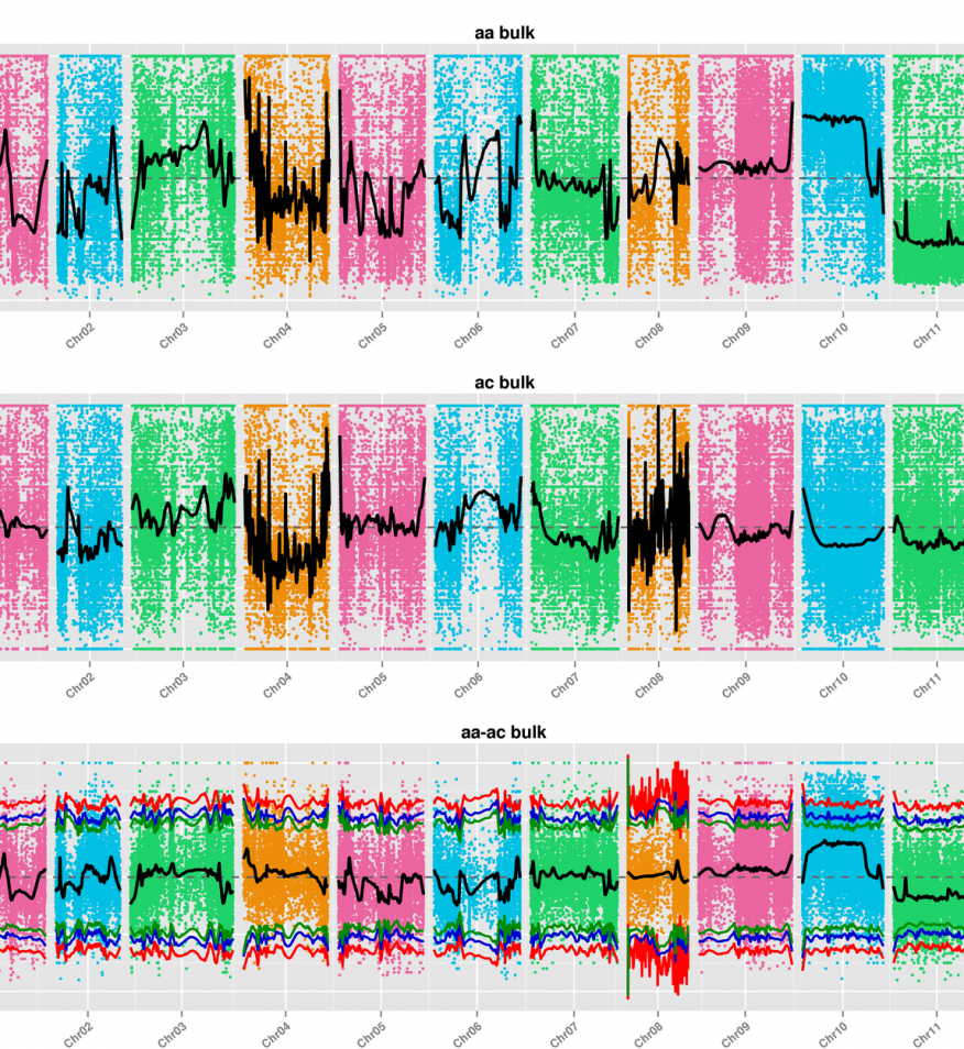 BSA关联定位分析 | 百迈客生物